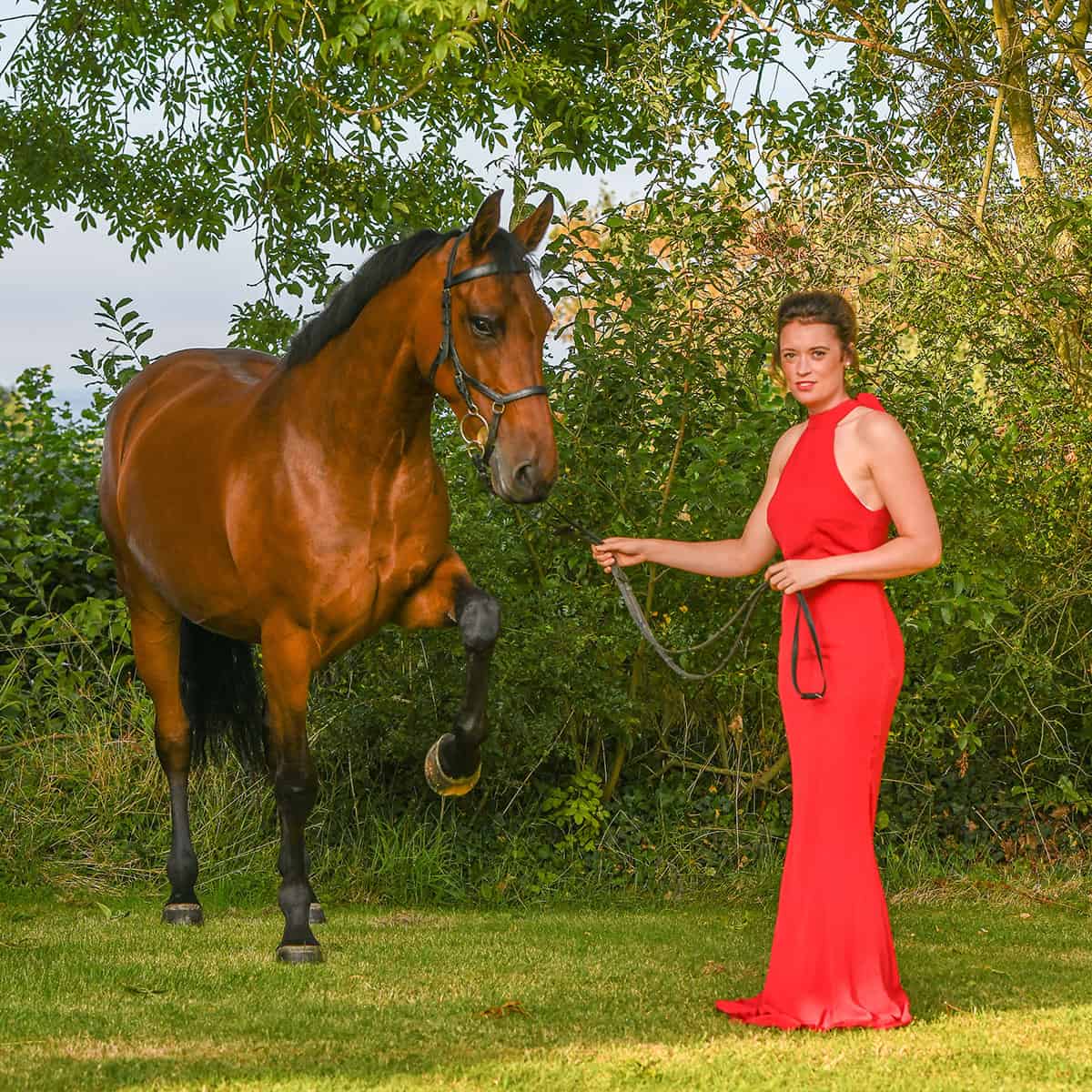 Equestrian Photography in Somerset & Devon - Rodney Warren Photography